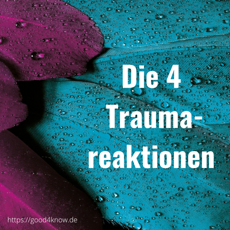 Die 4 Traumareaktionen – good4know.de
